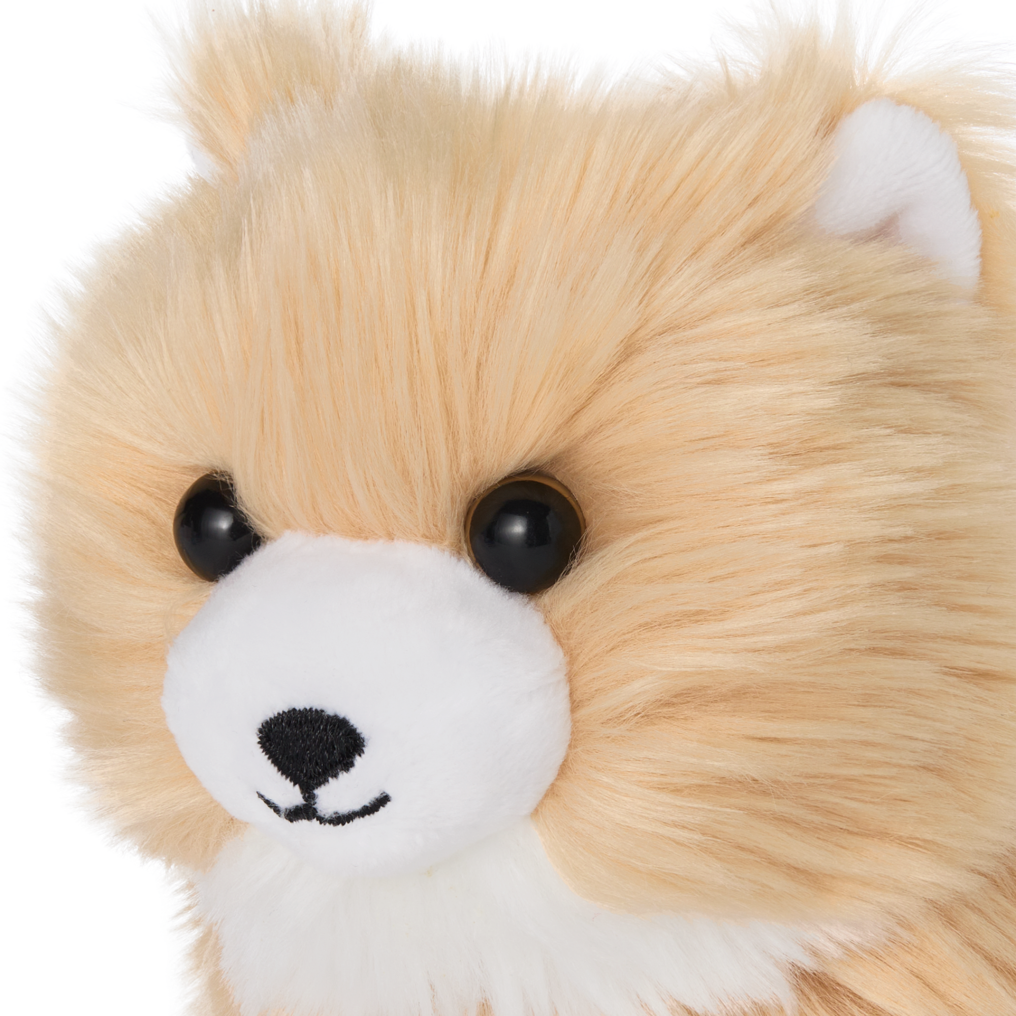 Raquel's™ Dog (Girl of the Year™ 2026) | American Girl®